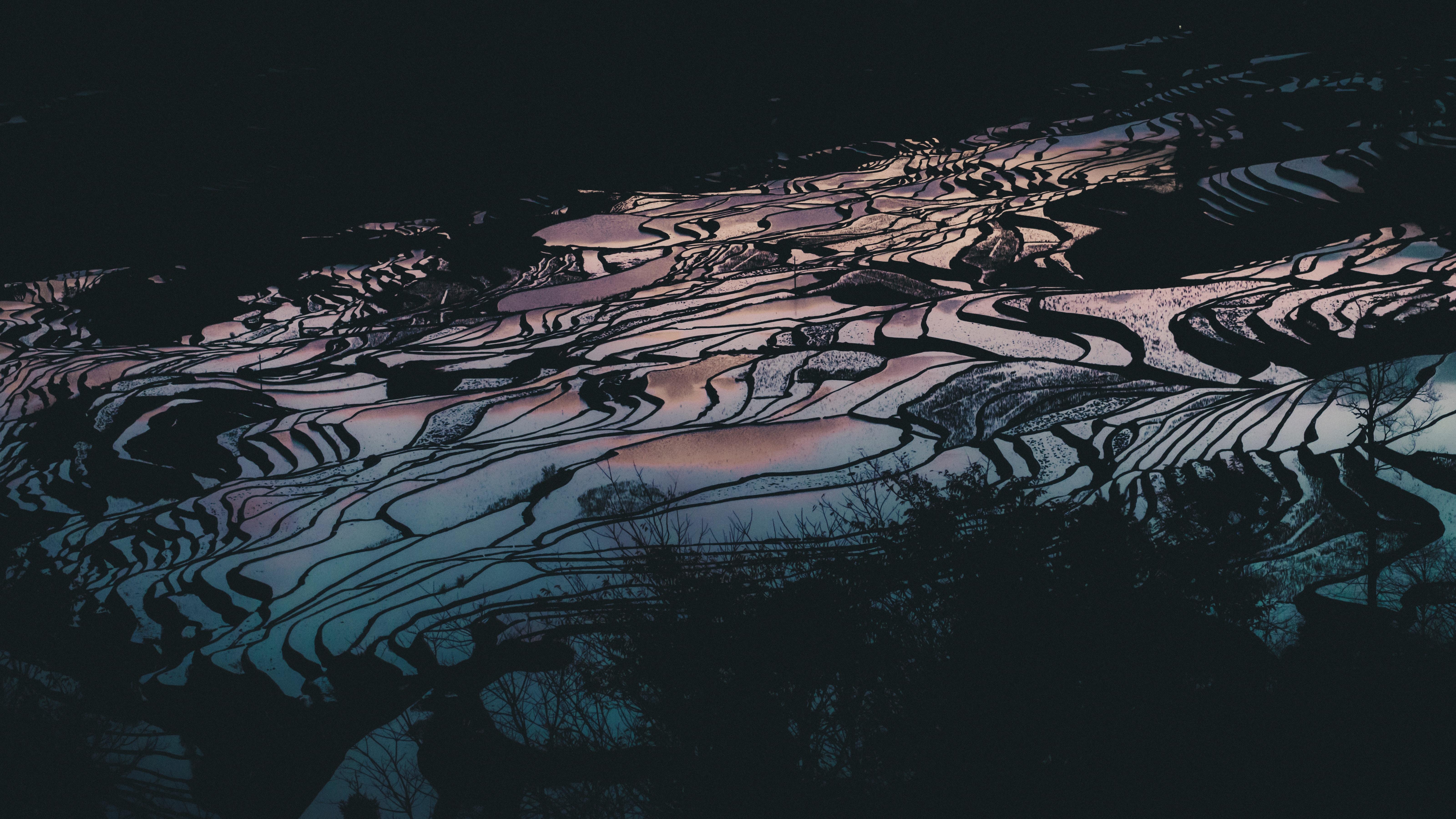 Mirova finalises the acquisition of Mirova Natural Capital