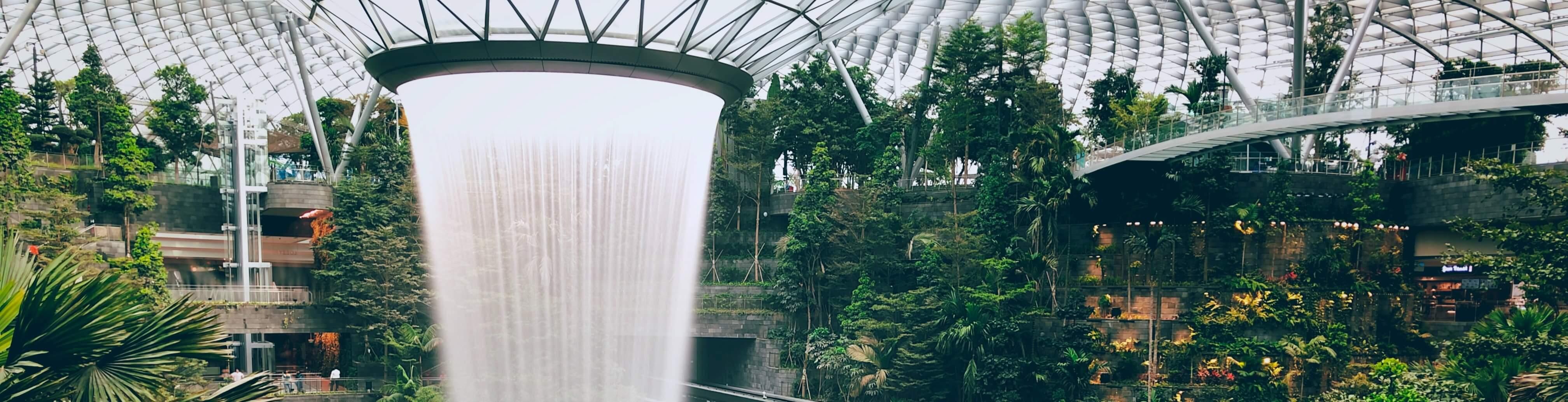 Fourth quarter 2020 newsletter | Mirova