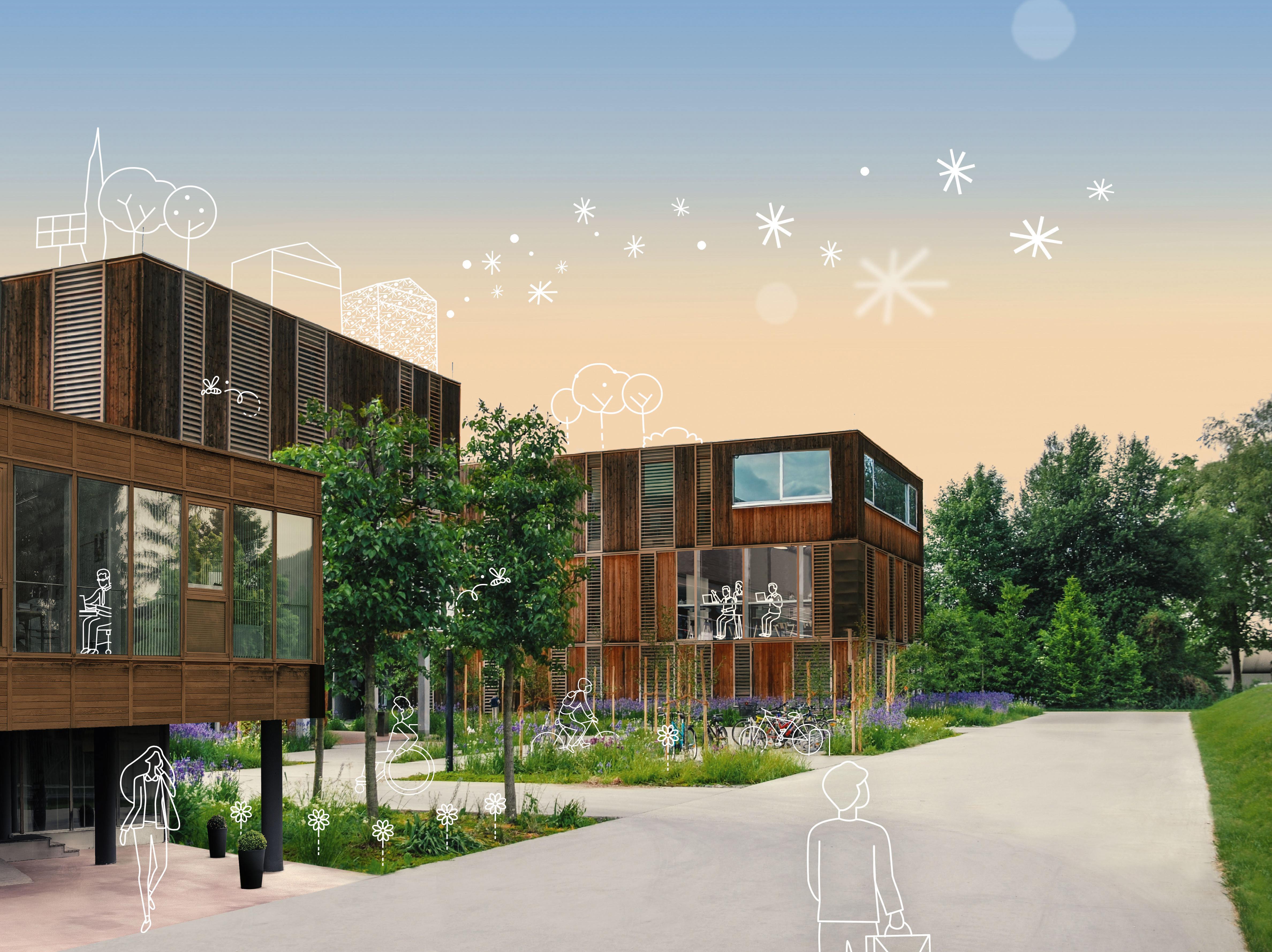 Mirova Solidaire : rapport d'impact 2020