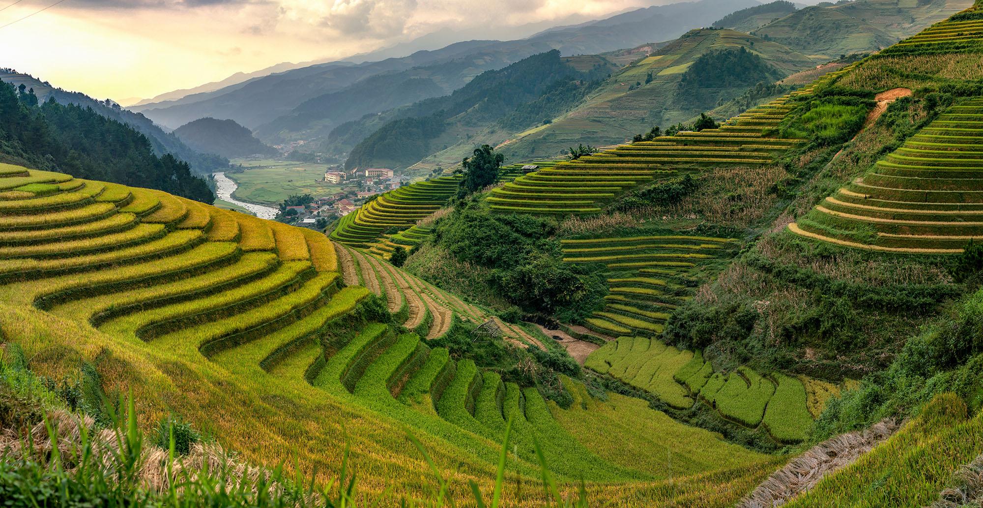 The Global EverGreening Alliance and Mirova launch one of the largest ... The Global EverGreening Alliance and Mirova launch one of the largest ...