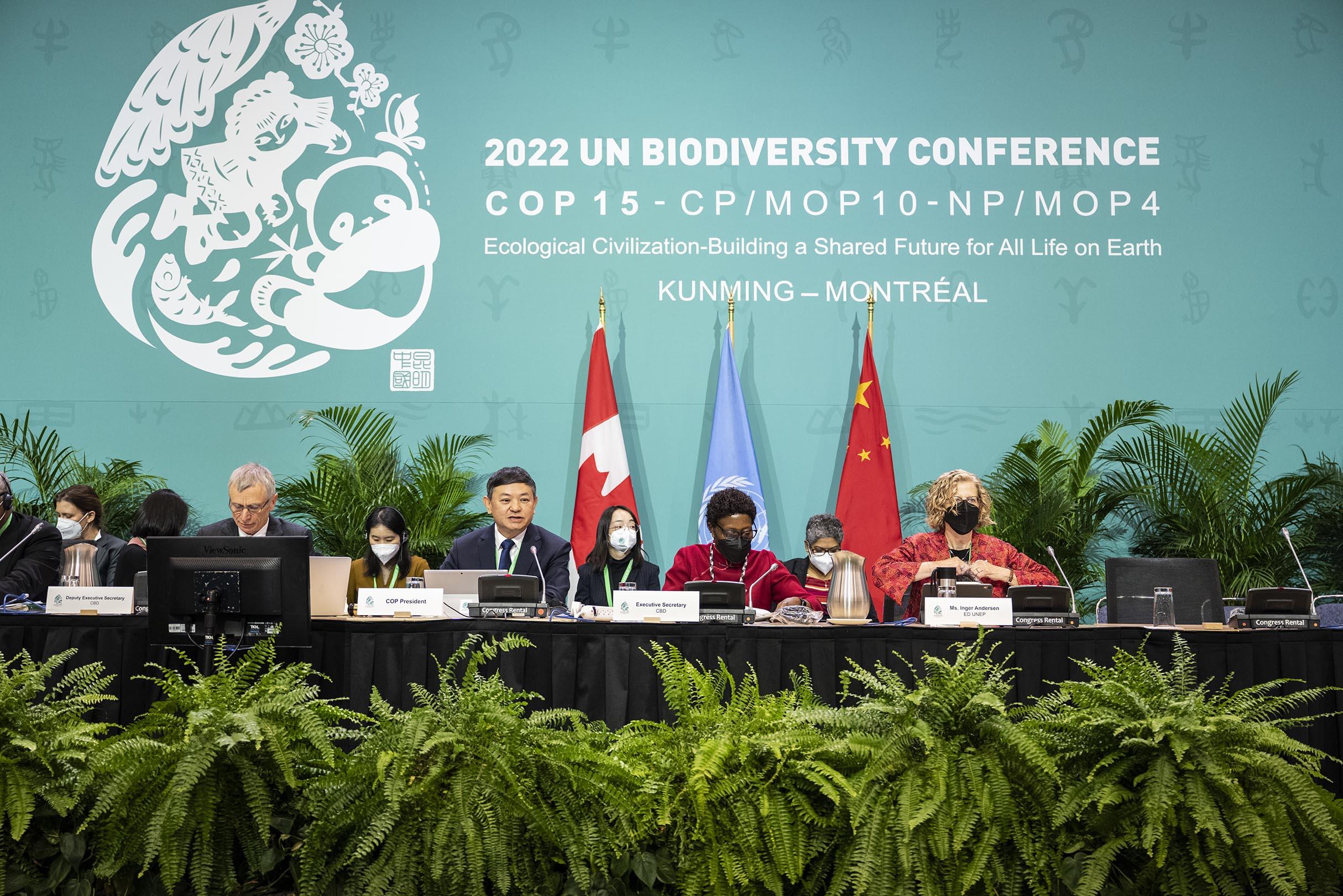 COP 15: a step forward in the battle to preserve biodiversity | Mirova COP 15: a step forward in the battle to preserve biodiversity | Mirova