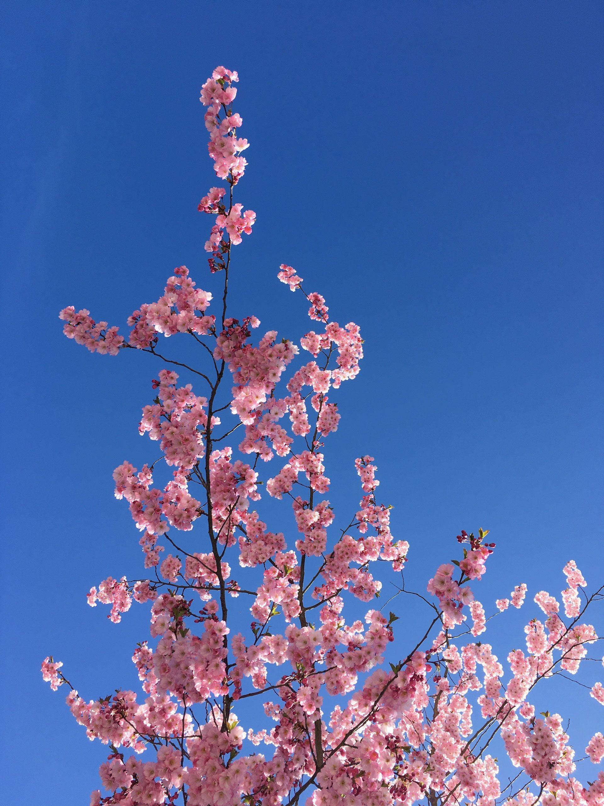 Mirovα, Creating Sustainable Value - May 2024 | Mirova