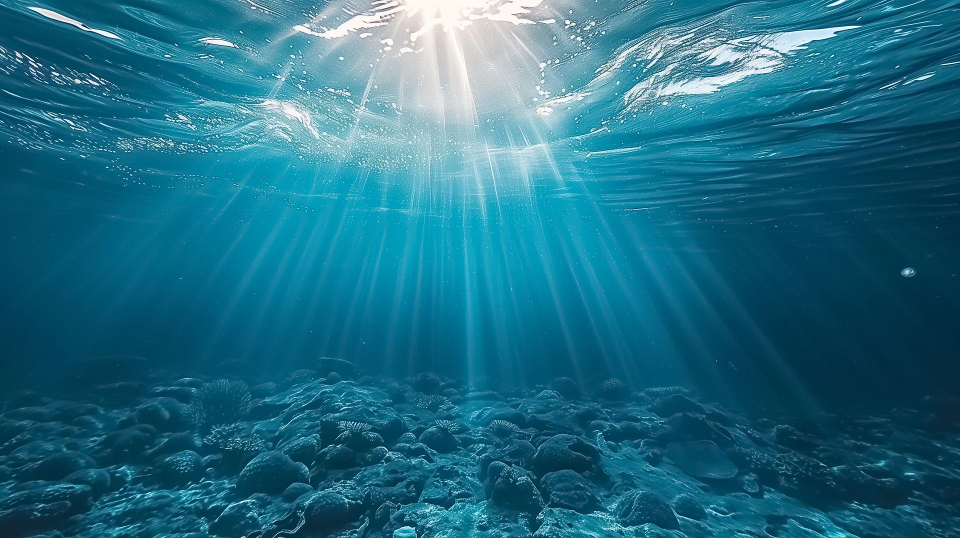 Mirova supports call from the private financial sector for better ocean ...