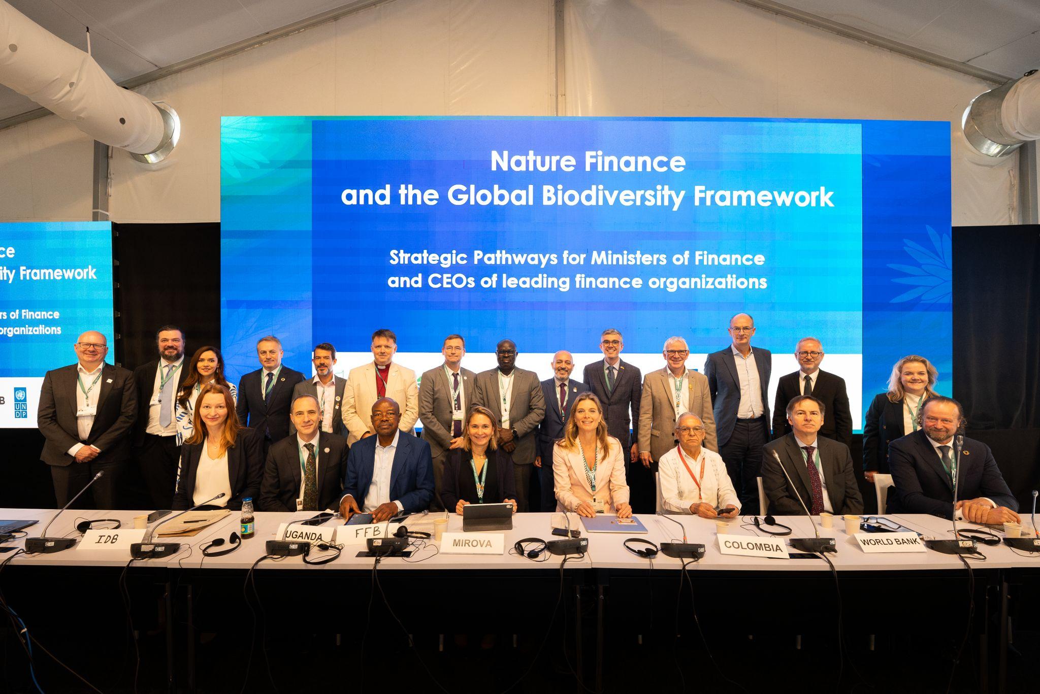 COP 16: nature at the heart of discussions | Mirova